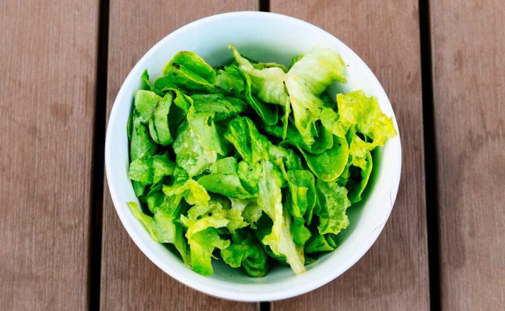 10 Beneficios de la Lechuga para la Salud | Para que Sirve